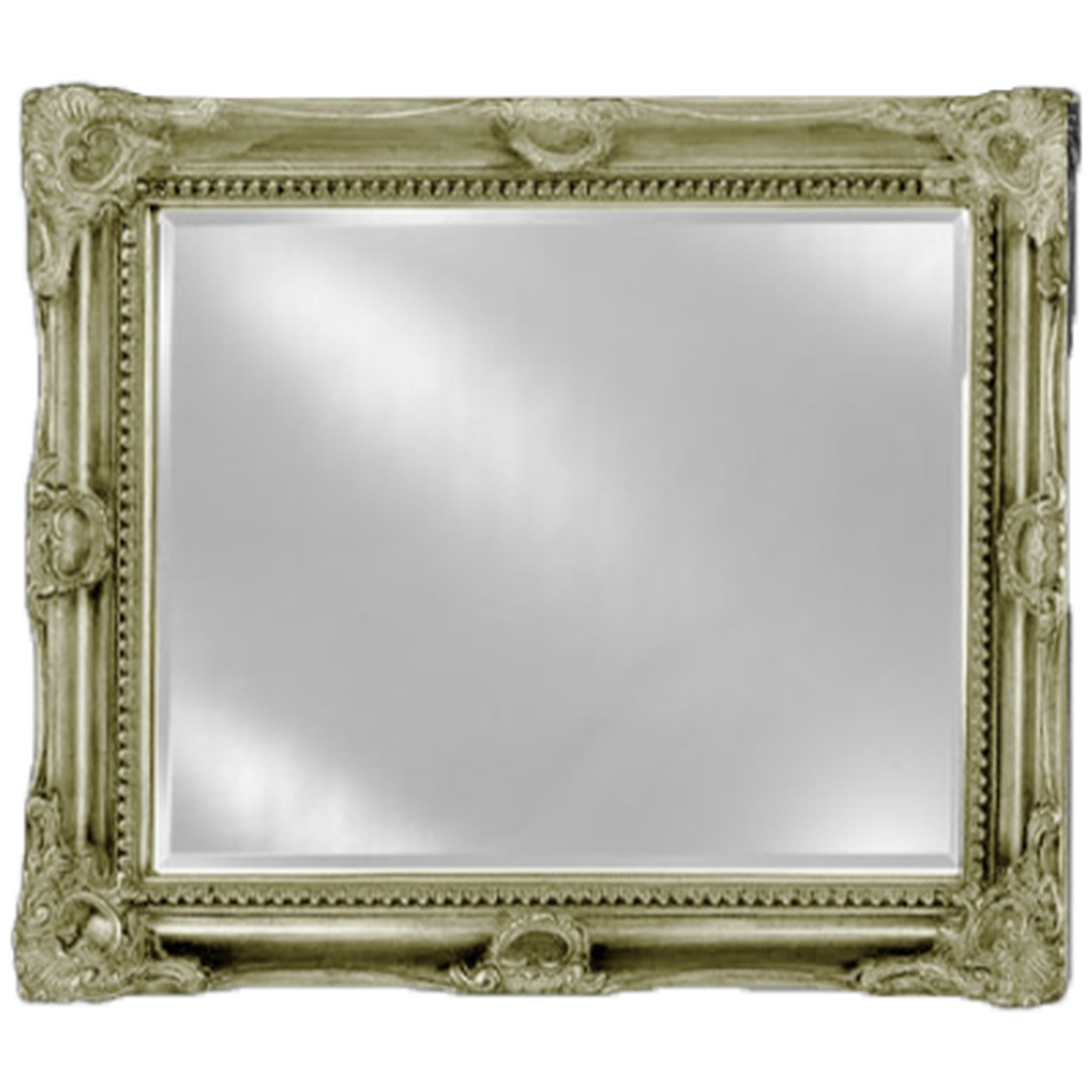 Afina Estate 42" x 34" Antique Silver Vanderbilt Royale Frame With 1 ...