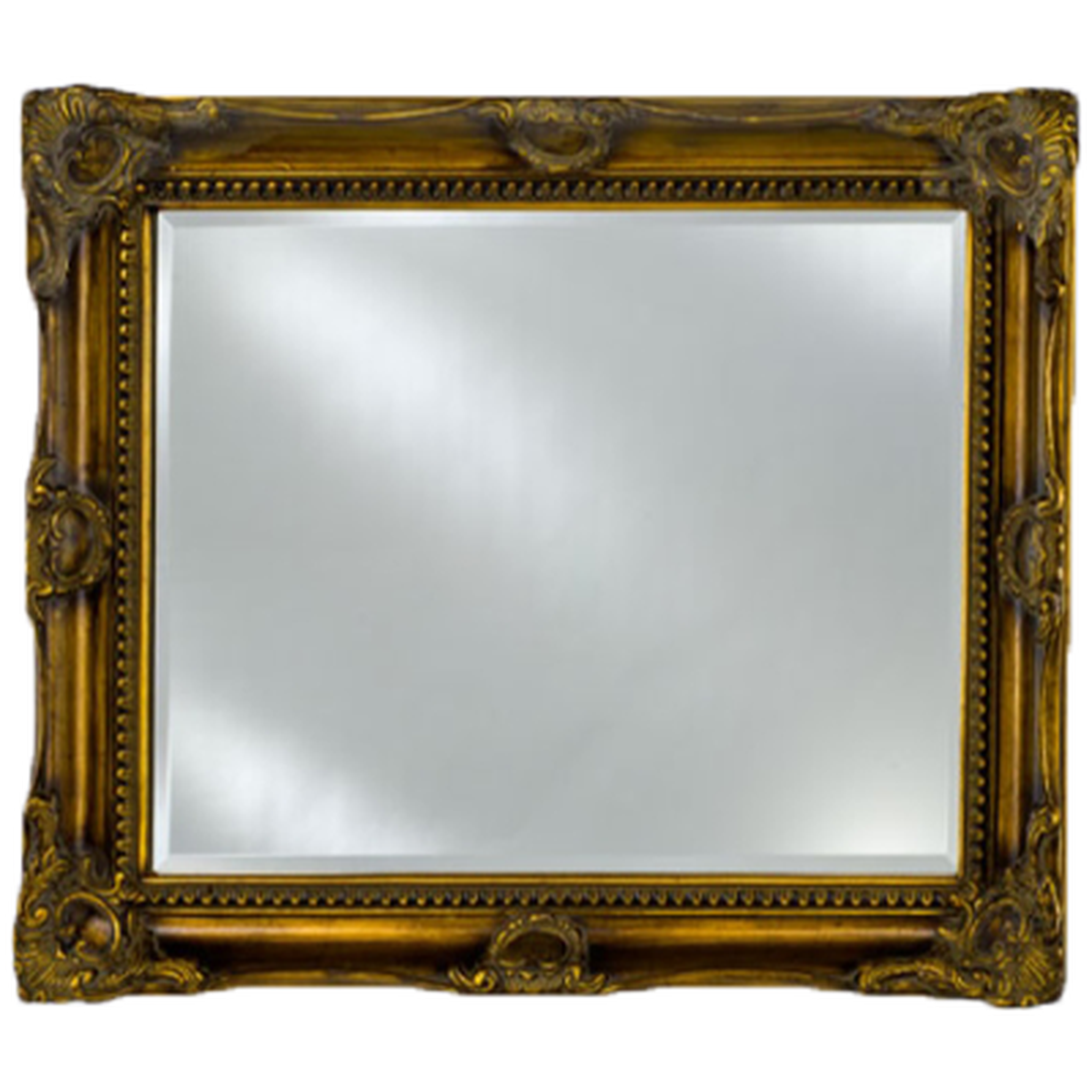 Afina Estate 51" x 40" Antique Burnished Gold Vanderbilt Royale Frame ...