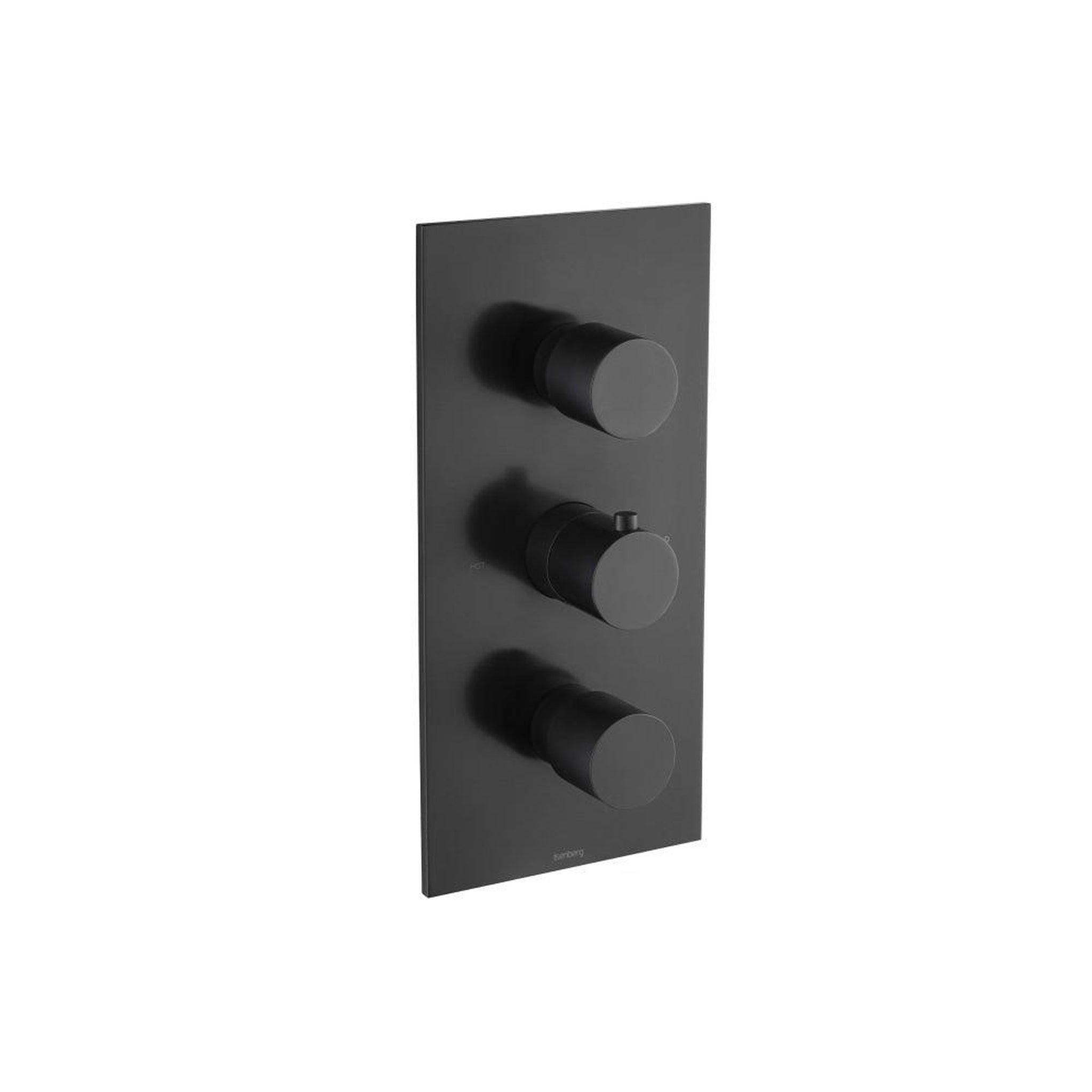 Flusso Faucets Serie 100 Two Output Thermostatic Trim Set in Matte Bla ...