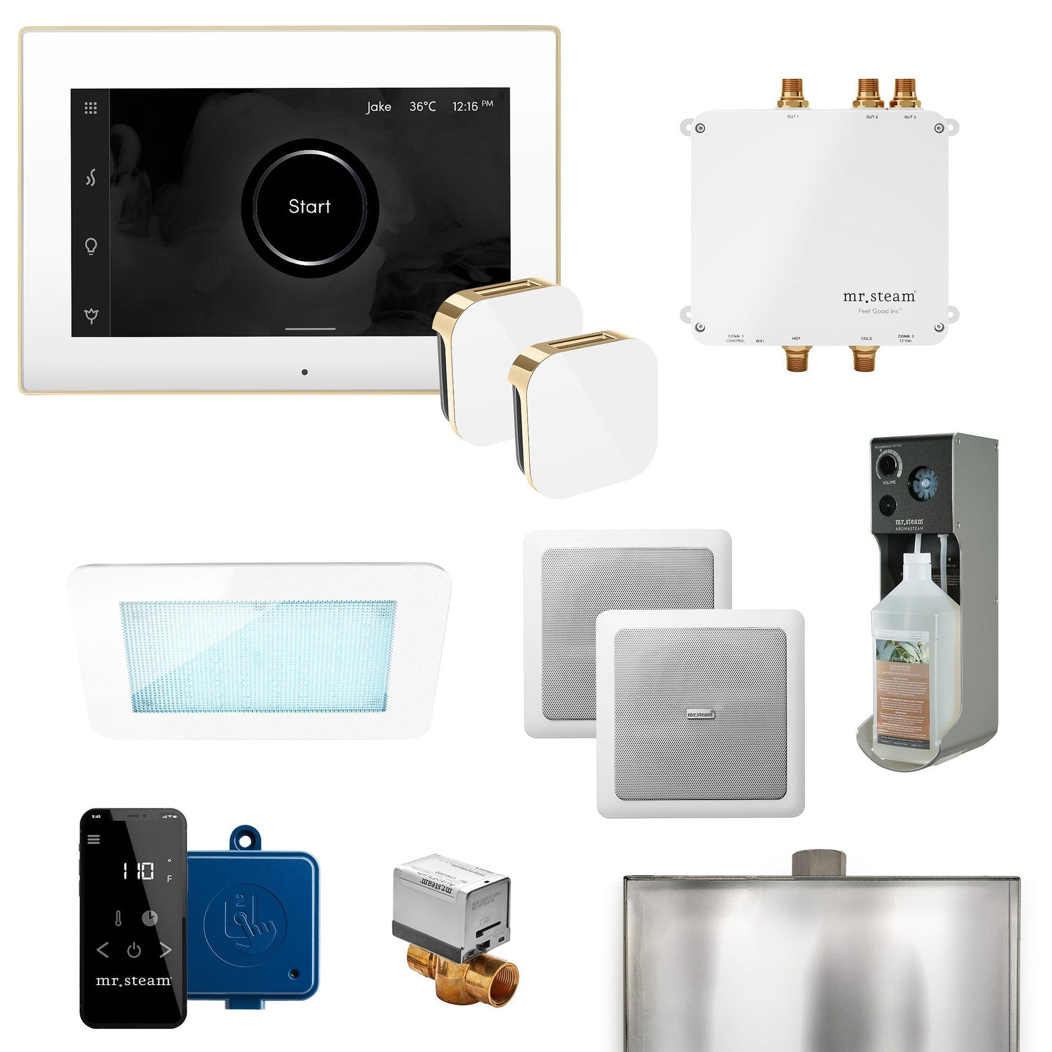 MrSteam Bliss Max 36" Programmable Steam Generator Control Kit With iS ...
