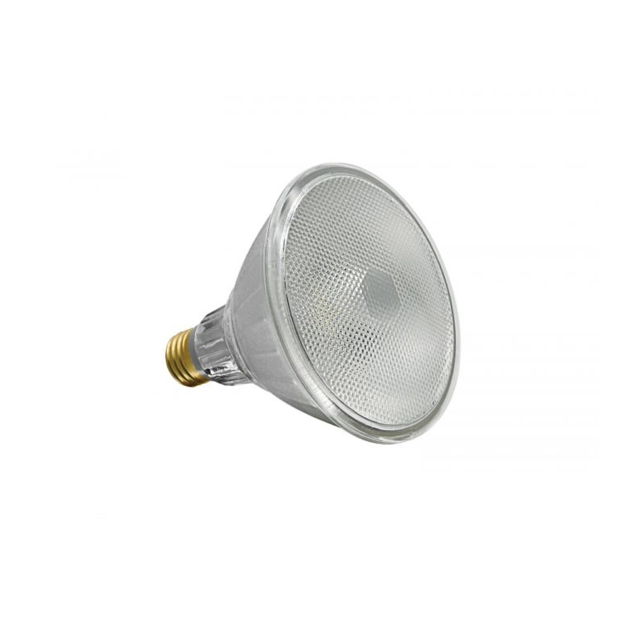 Craftmade 15-Watt PAR38 Clear Finish, E26 Medium Base, 5.1" M.O.L., 30 ...